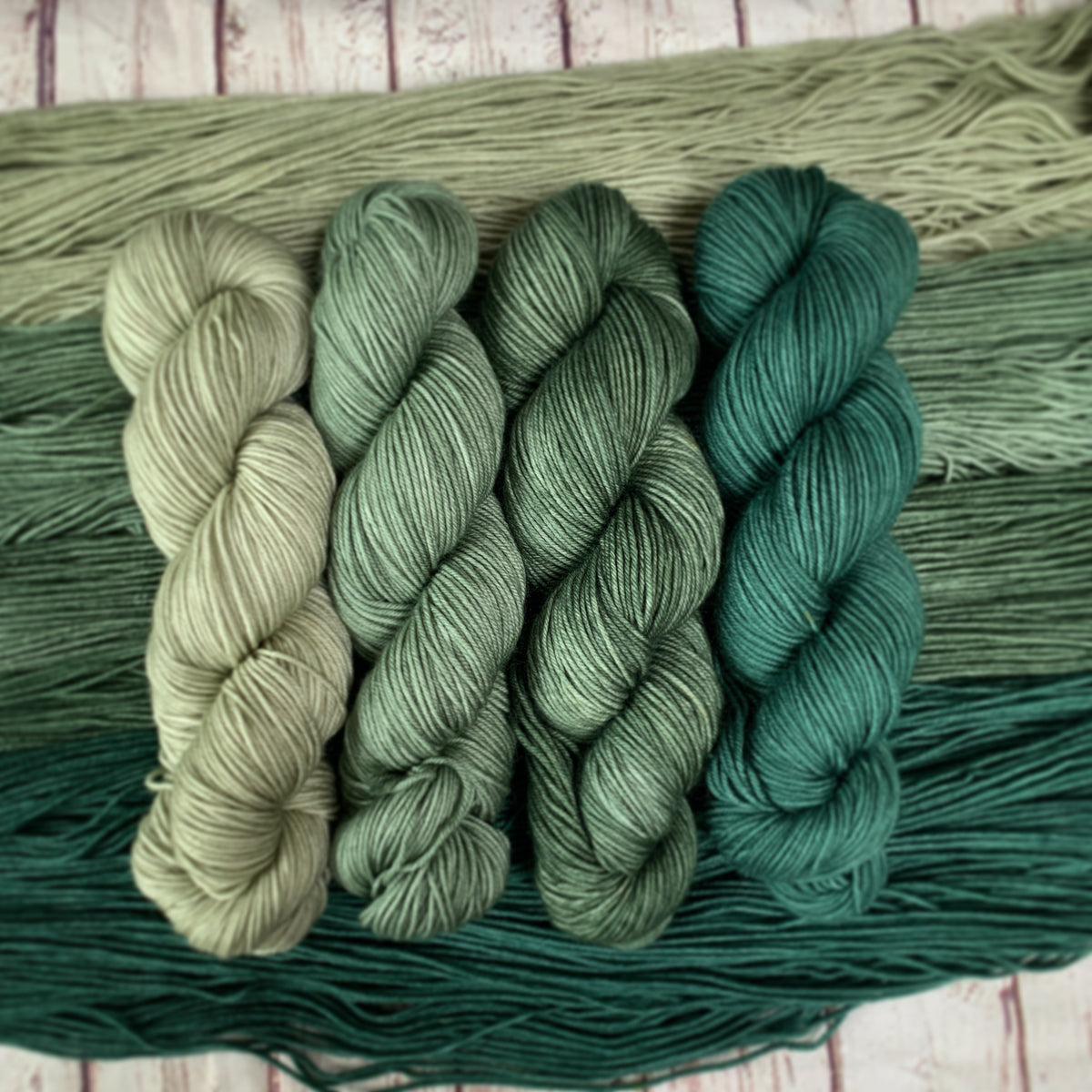Mermaid Avenue Sock Fade Sets – Goosey Fibers